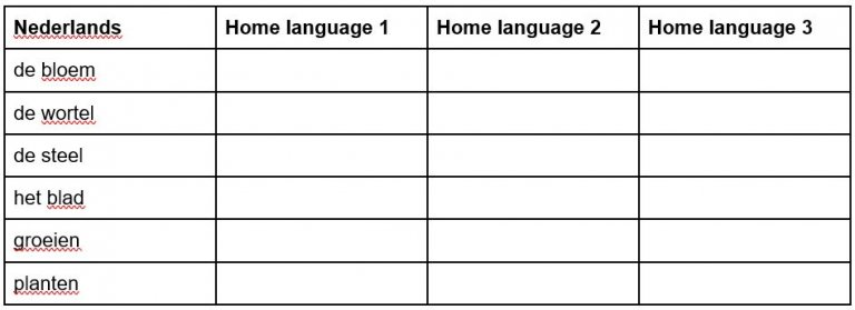 Making Space for Multilingualism in Schools: Five simple steps ...